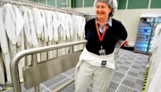 Explore Intel: Aloha